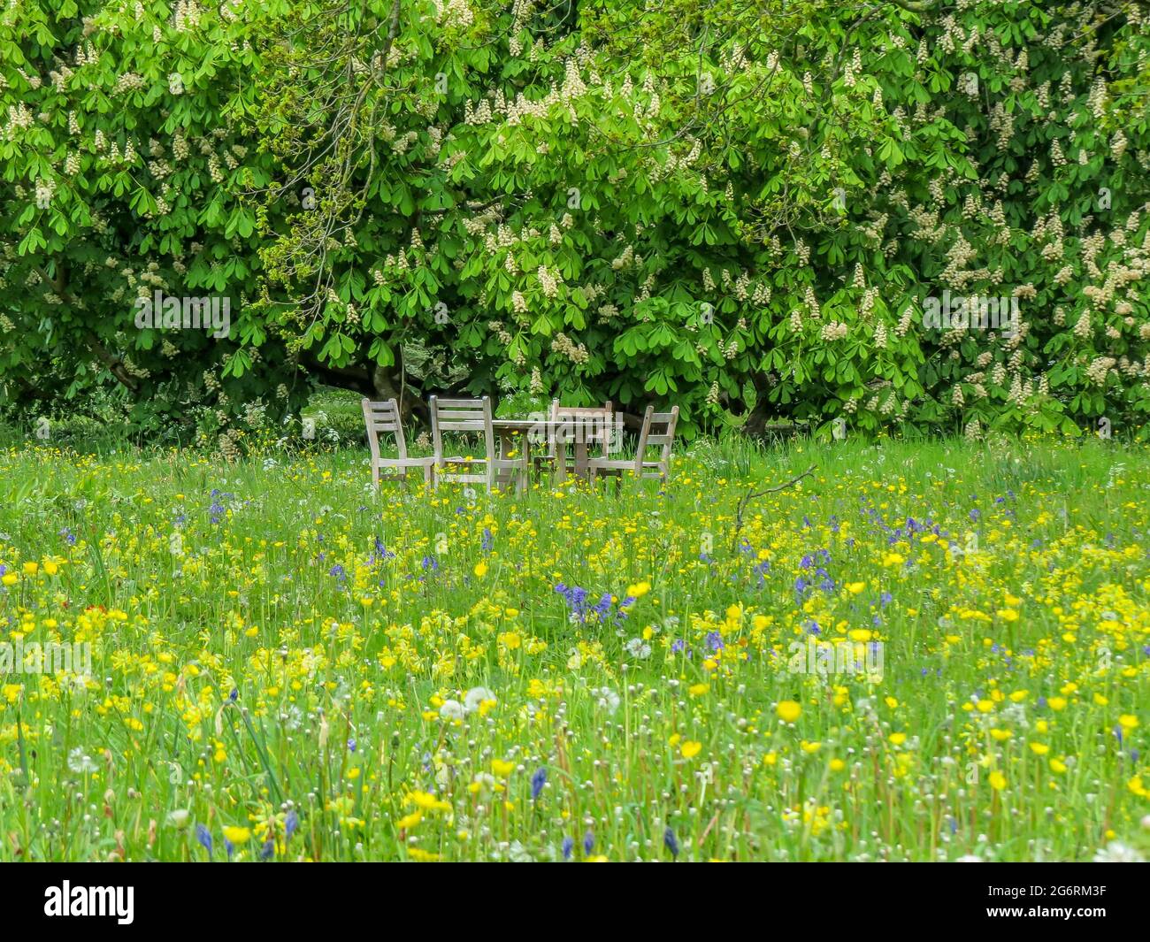 Rustic garden wooden chairs hi-res stock photography and images - Alamy
