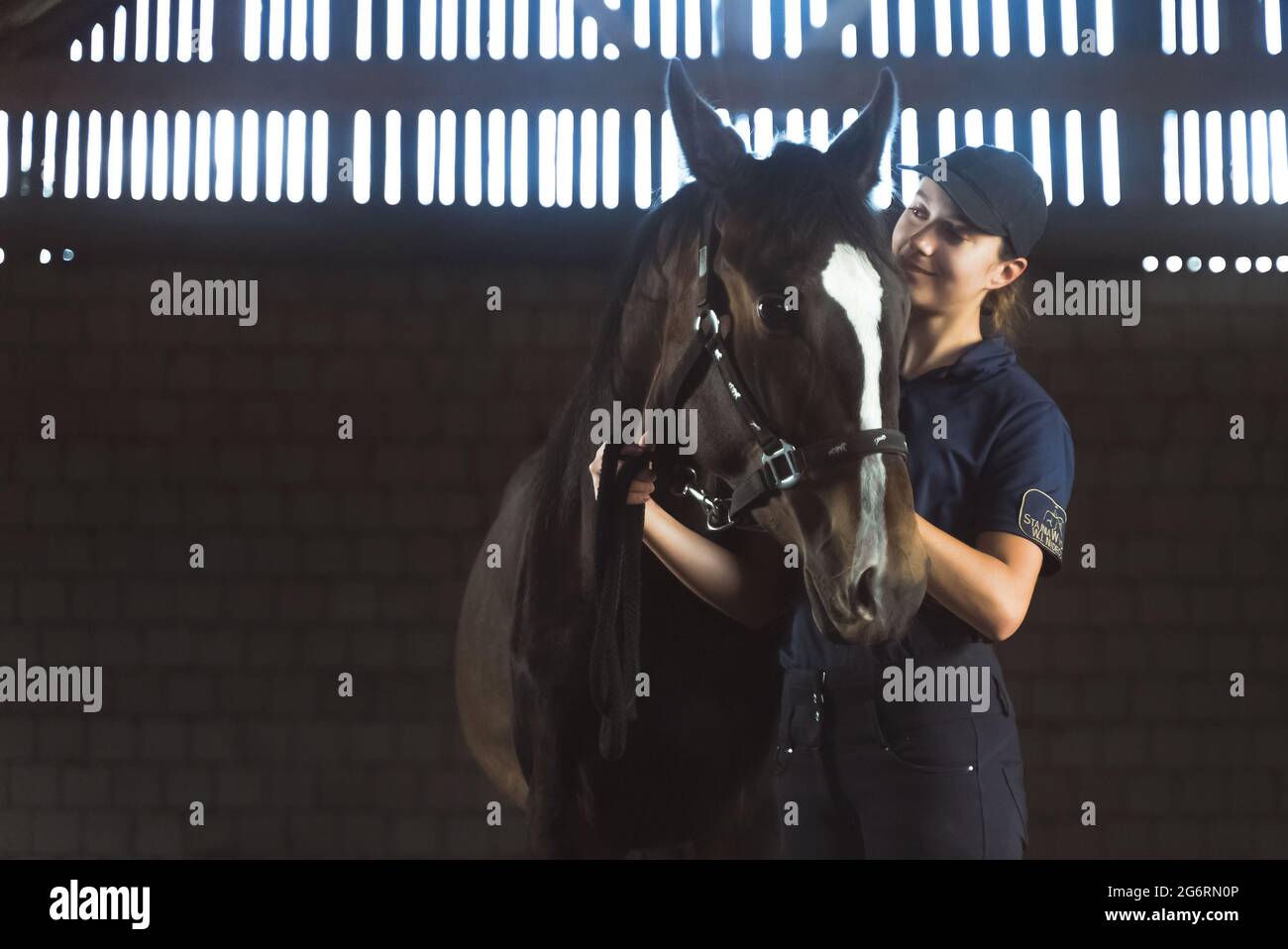 Female jockey with her Seal brown horse in the stable. Woman holding ...