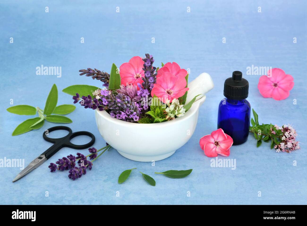 Homoeopathic herbal medicine with summer flowers and herbs in a mortar ...