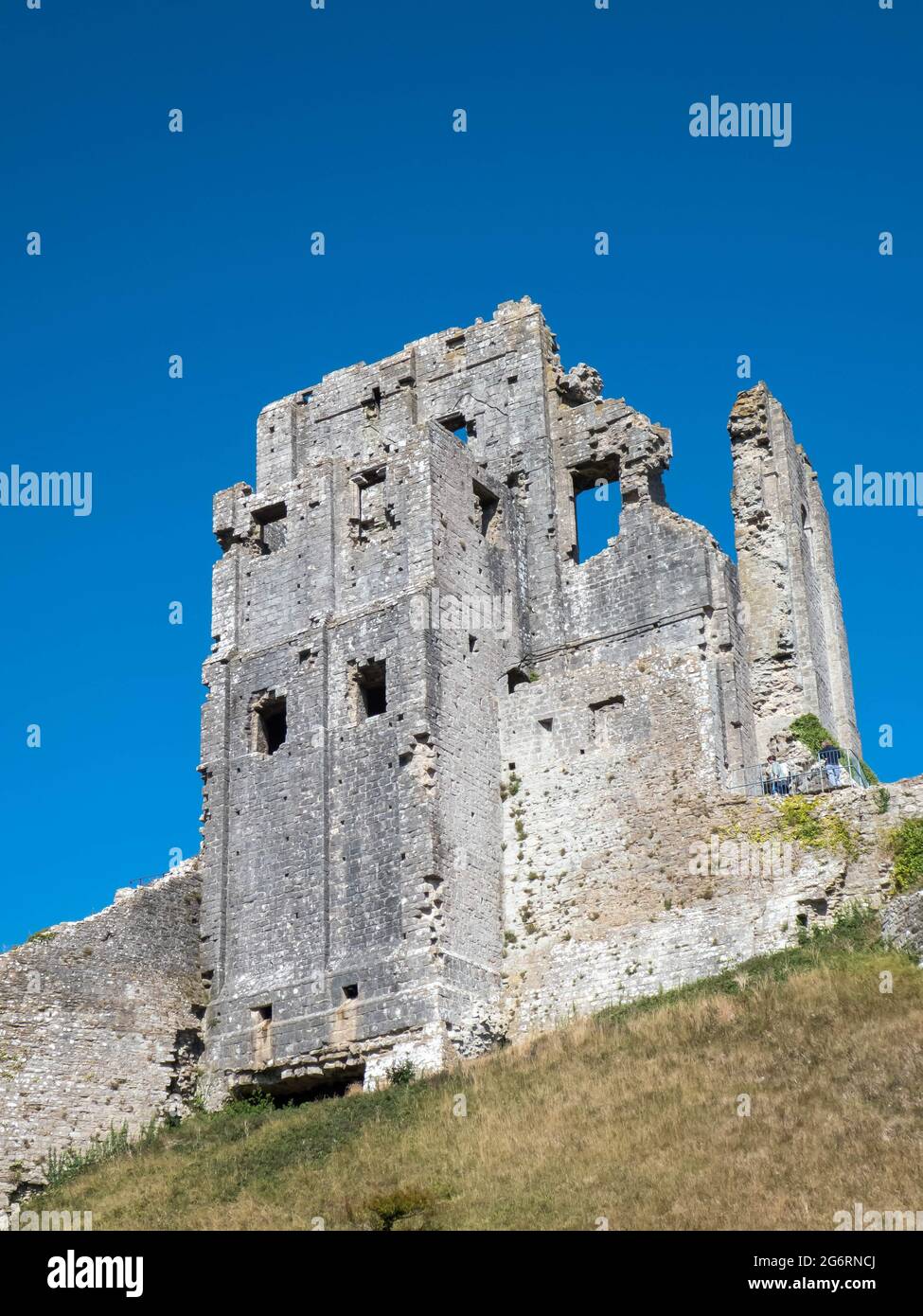 ruins of Corfe Castel in Dorset England Stock Photo - Alamy