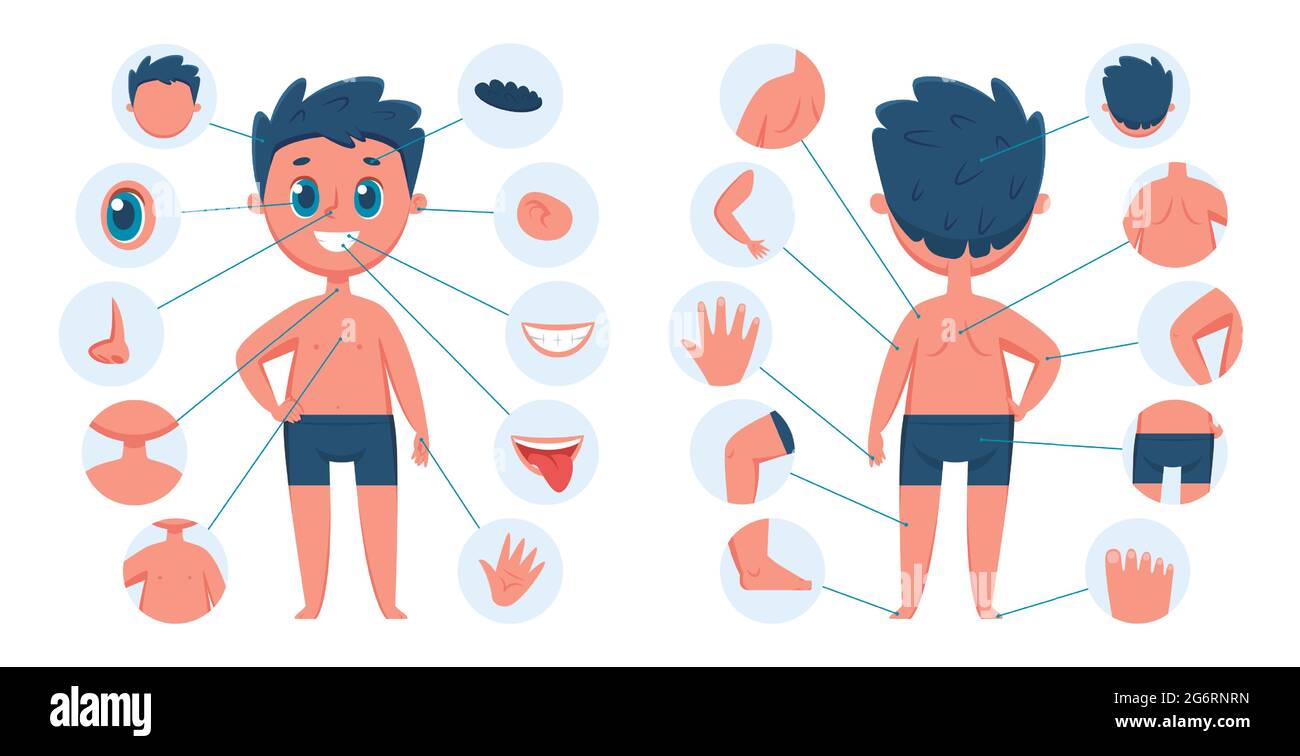 Boy body parts. Child body part anatomy education for children ...