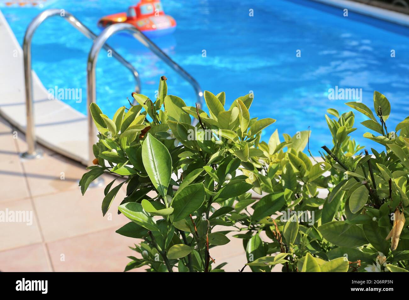 Garden swimming pool germany hi-res stock photography and images - Alamy