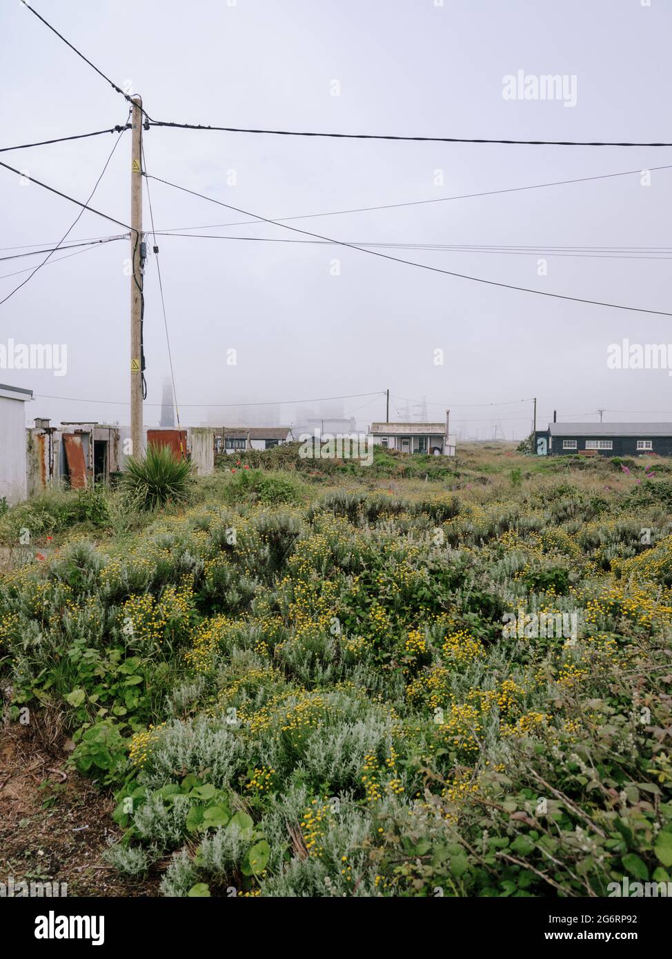 The timber shacks and telephone lines of Dungeness Kent England UK ...