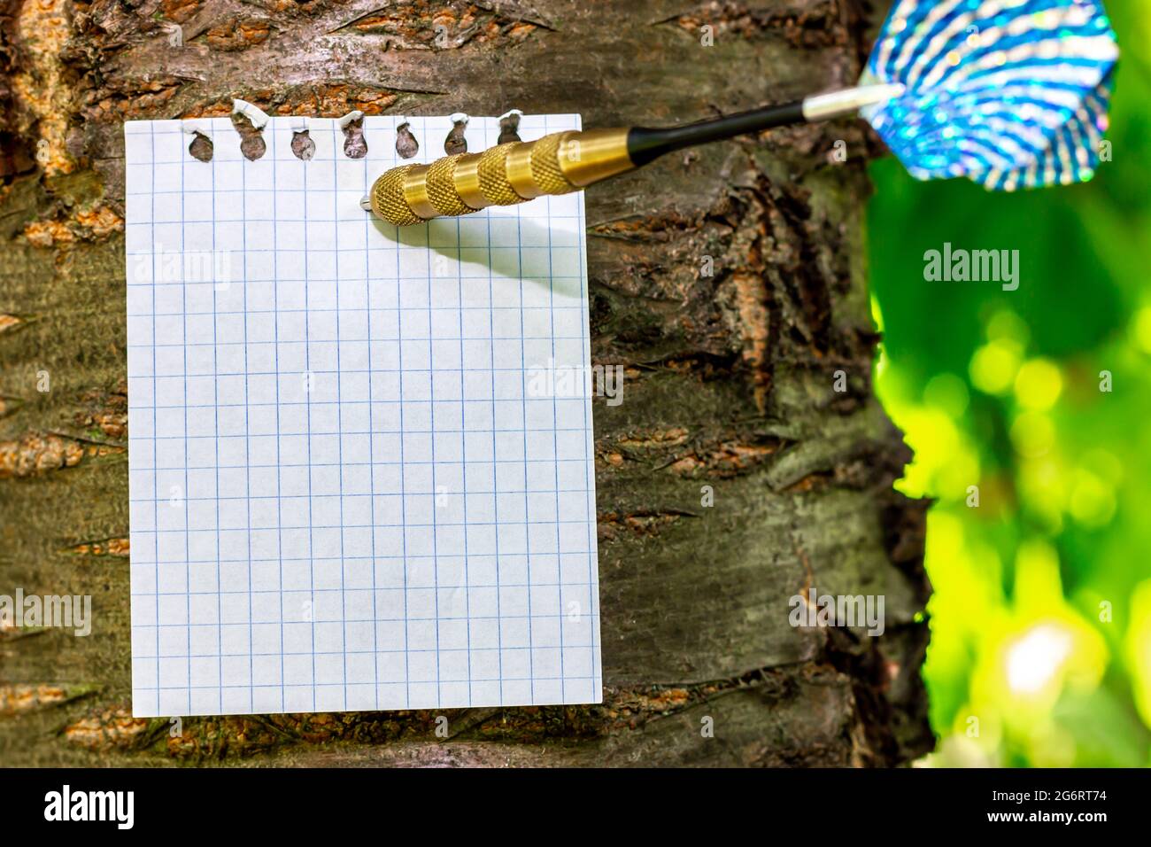 Blank paper pinned on tree hi-res stock photography and images - Alamy