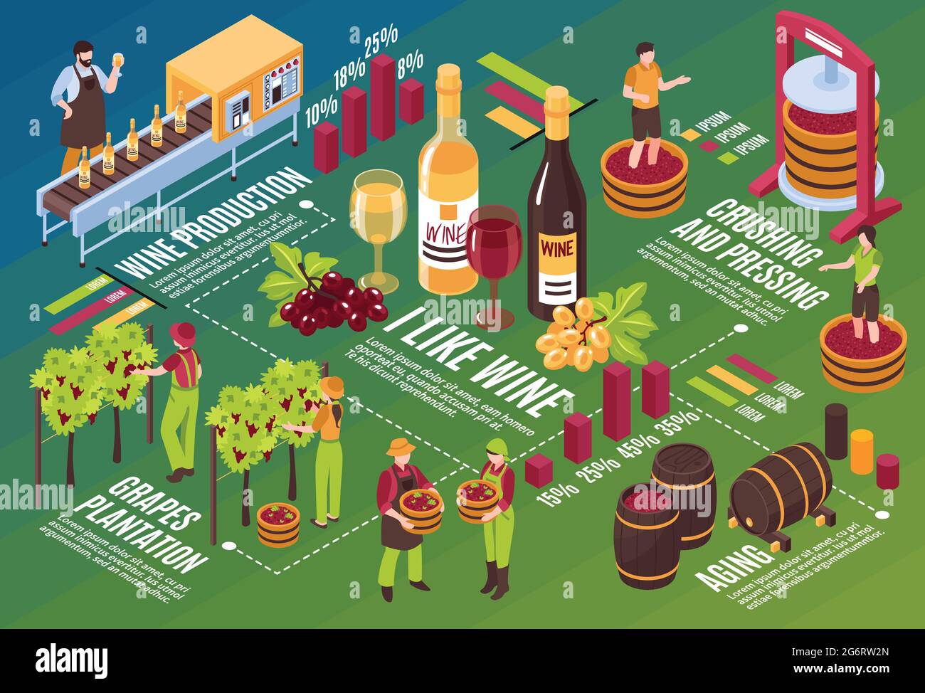 Stages Of Aging Stock Vector Images - Alamy