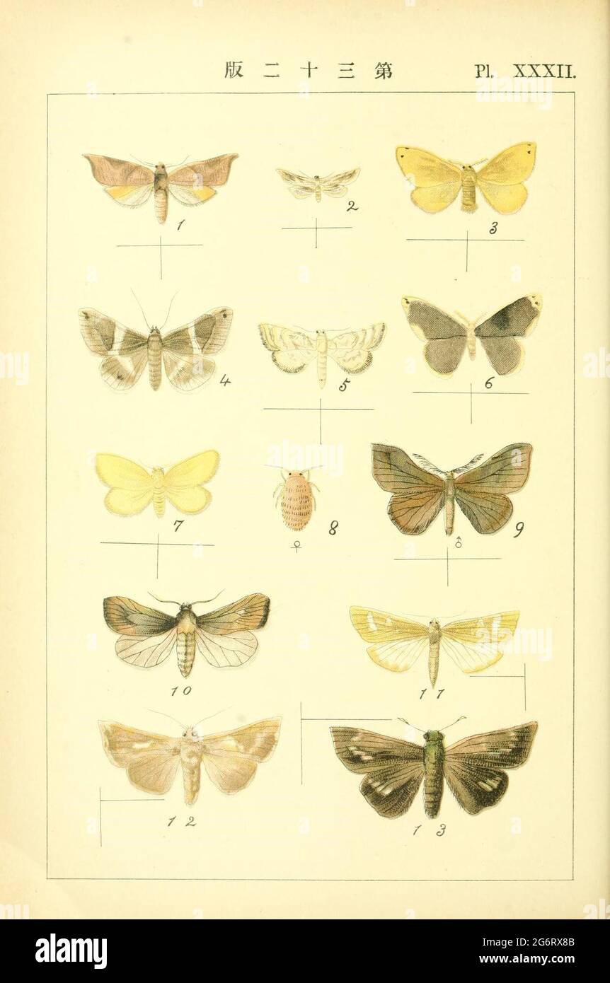 Injurious insect hi-res stock photography and images - Alamy