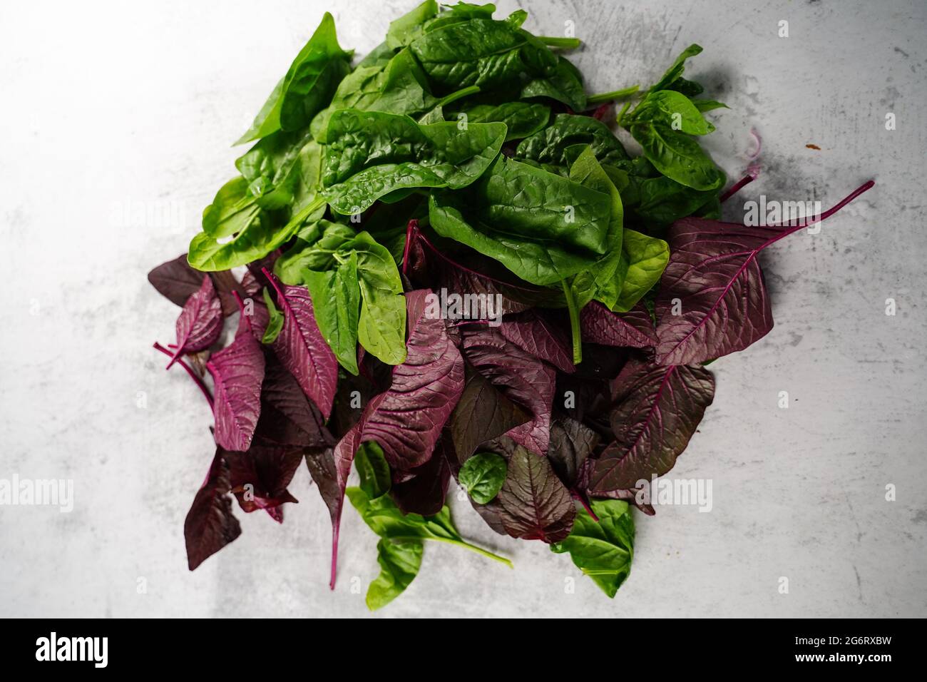 Spinach plant kerala hi-res stock photography and images - Alamy