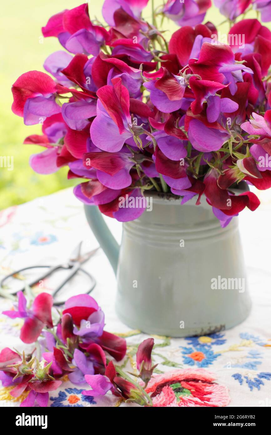 Summer arrangement of sweet pea flowers in a vase on a garden table ...