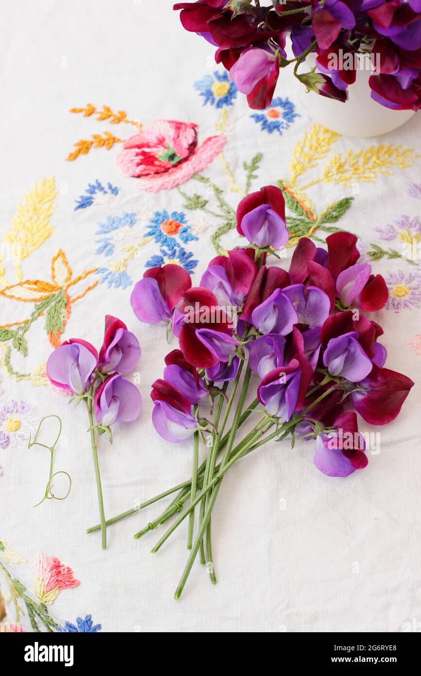 Bunch of sweet peas arranged in a simple white vase jug on a garden ...