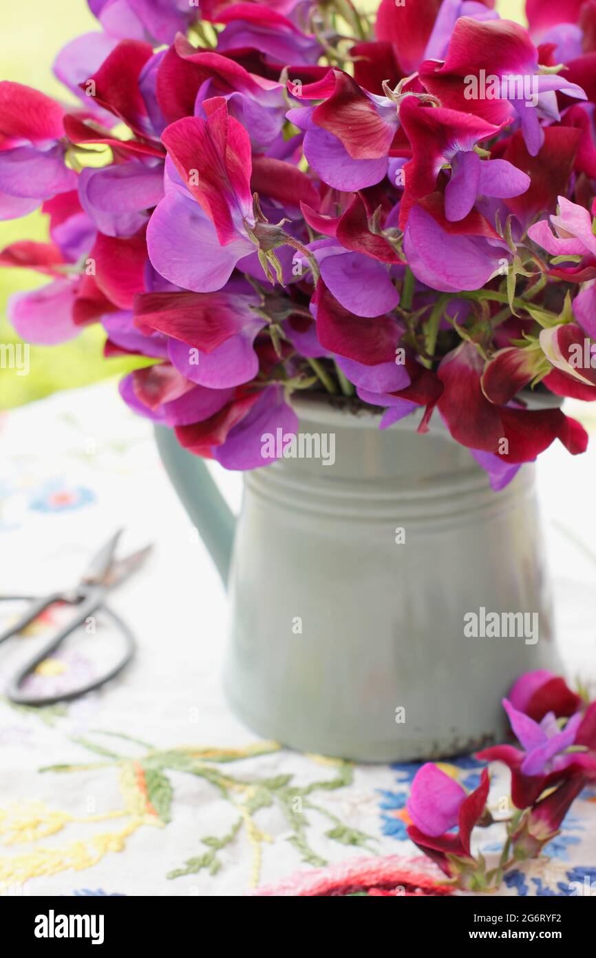 Summer arrangement of sweet pea flowers in a vase on a garden table ...