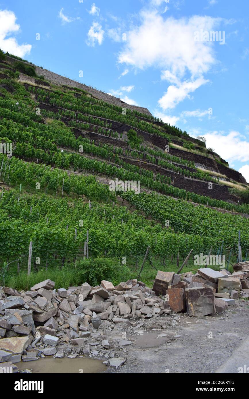 stone pile for vineyard walls at the bottom of the steep vineyards ...