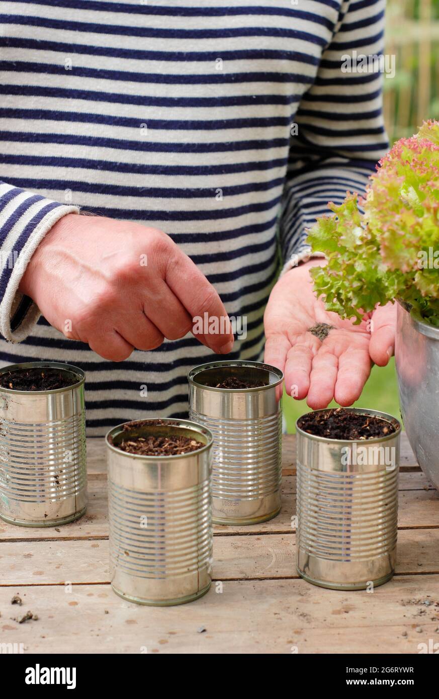 Recycled aluminum cans hi-res stock photography and images - Alamy