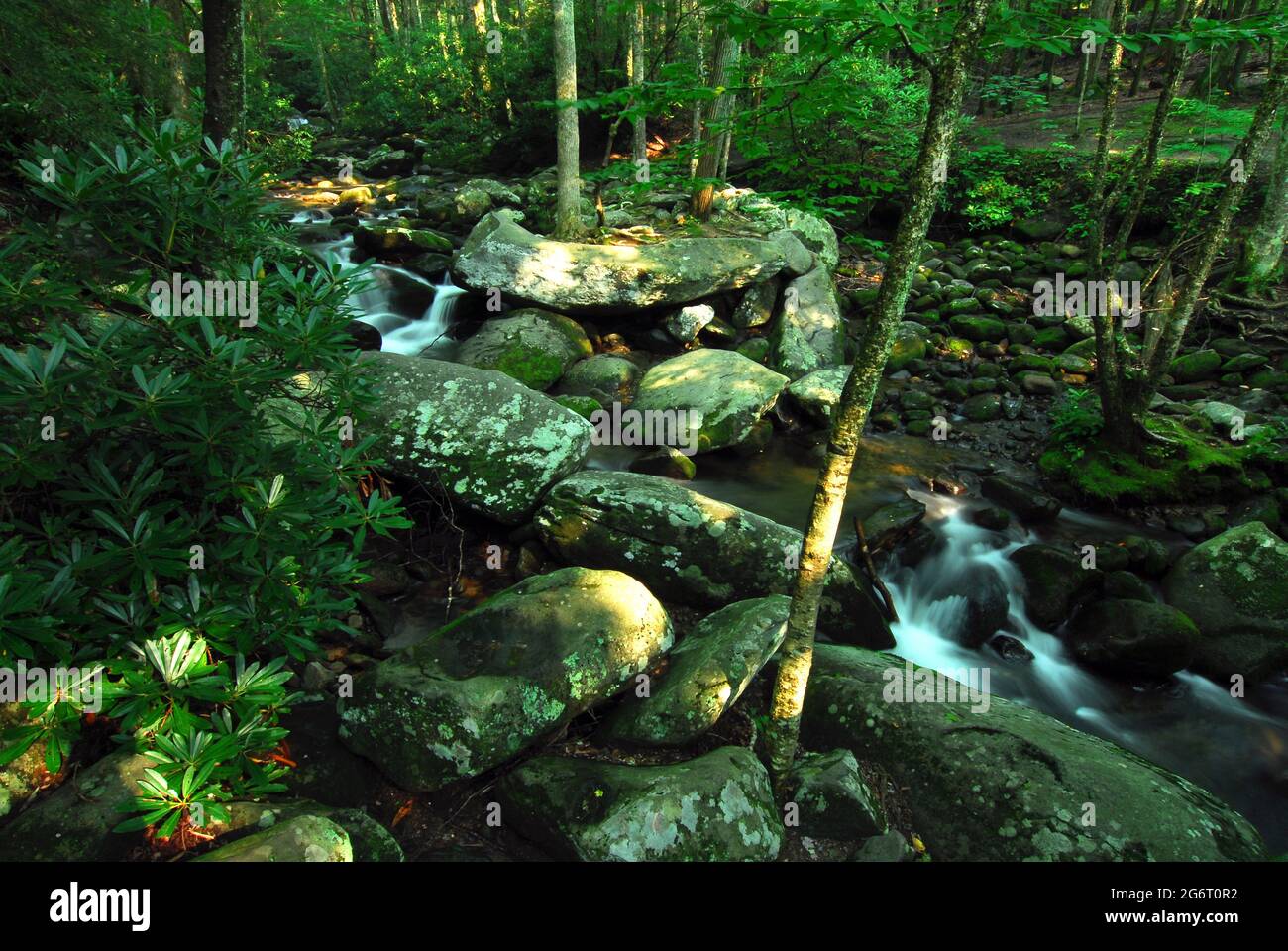 Stream and algae covered rocks hi-res stock photography and images - Alamy