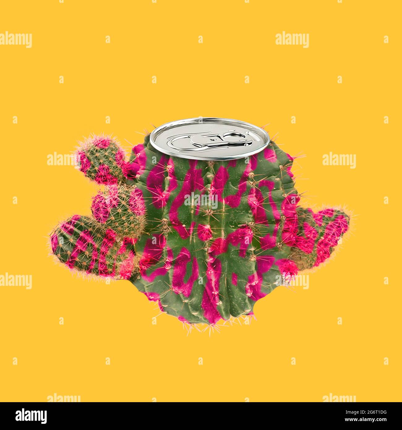 Trendy conceptual artwork. Cactus instead of can of beer . Minimal ...