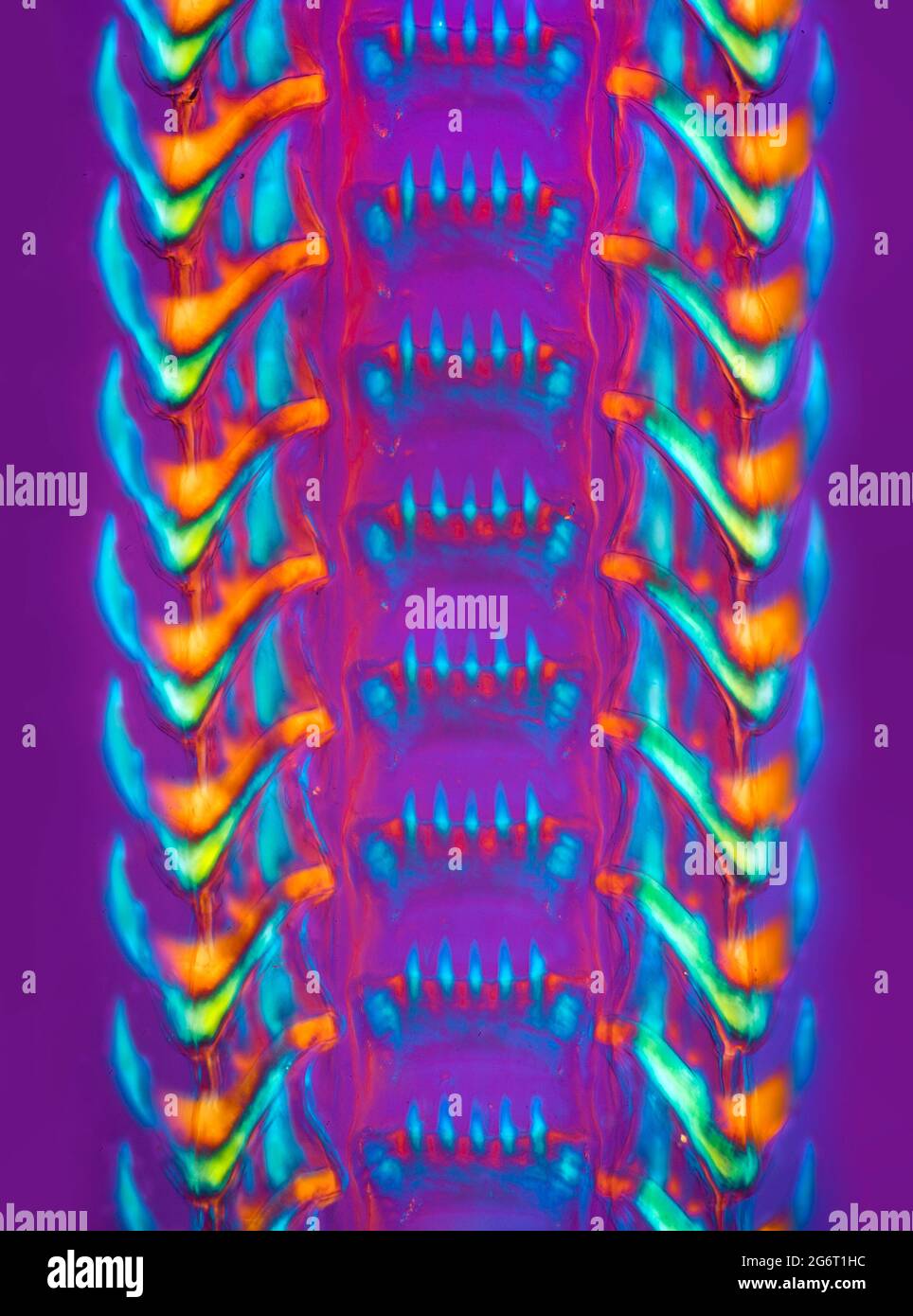 Wave plate hi-res stock photography and images - Alamy