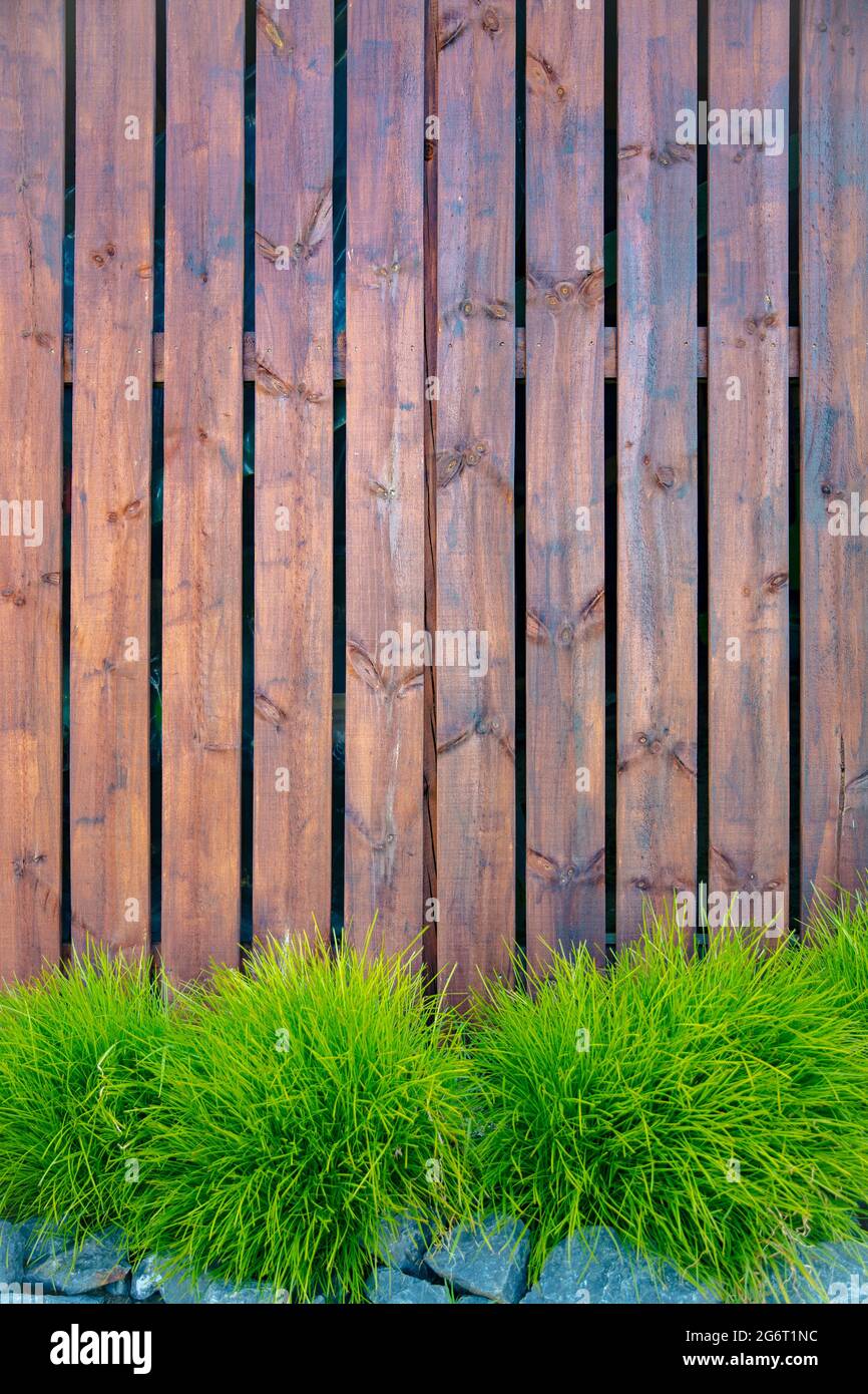 Fresh green grass over wood fence vertical background Stock Photo - Alamy