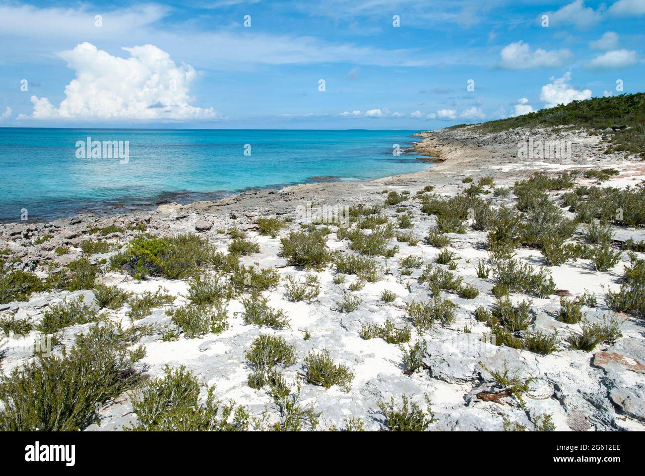 The rocky landscape with spare vegetation on a coastline of Half Moon ...