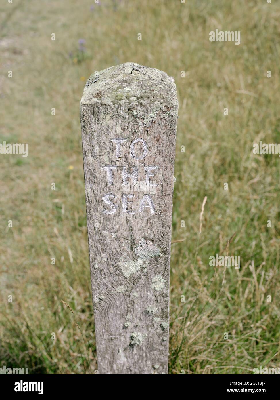 To The Sea wooden sign at Dungeness Kent England UK Stock Photo - Alamy