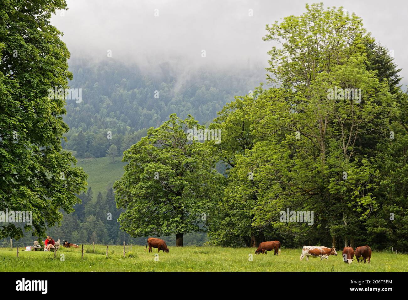 Chartreuse mountain range hi-res stock photography and images - Alamy