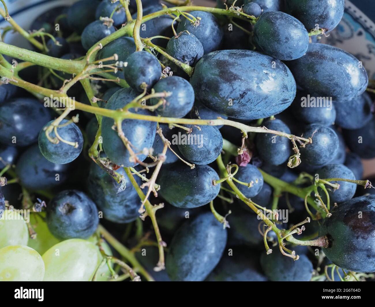 white and red grape (scientific name Vitis vinifera) vegetarian fruit ...