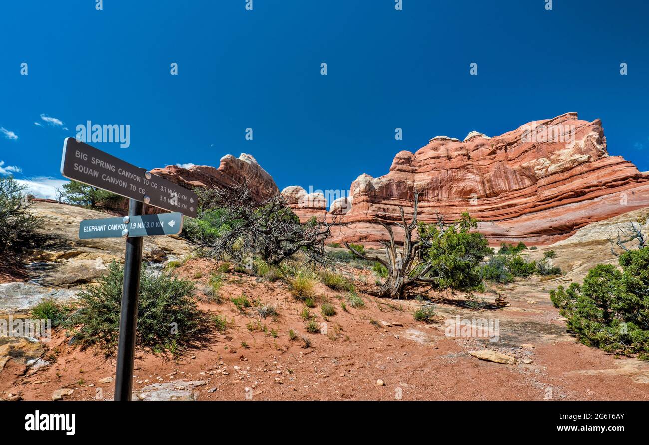 Big springs canyon trail hi-res stock photography and images - Alamy