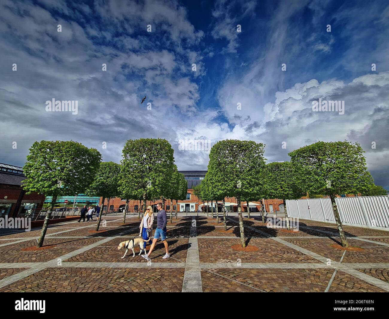 Square shaped trees hi-res stock photography and images - Alamy