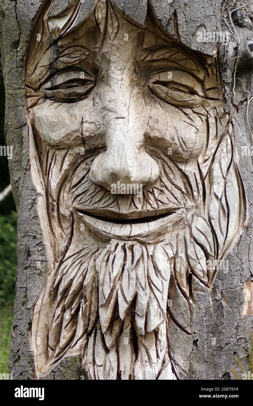 Wood carvings tree hi-res stock photography and images - Alamy