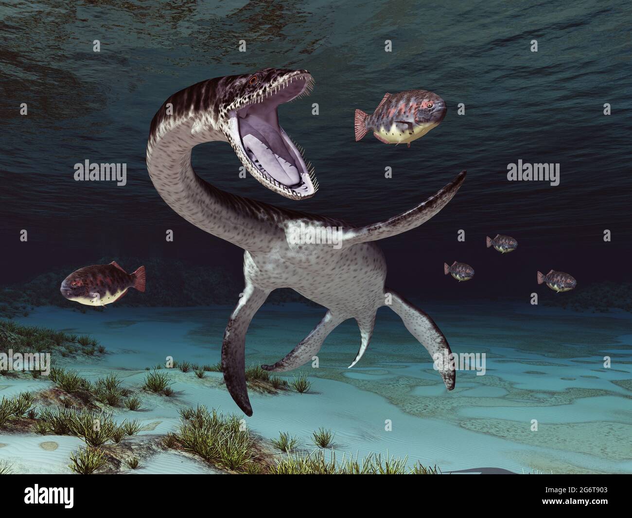 Plesiosaurus hunting hi-res stock photography and images - Alamy