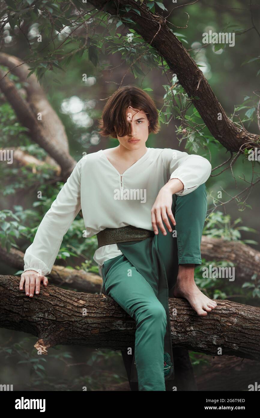 Prince of elves on tree Stock Photo - Alamy