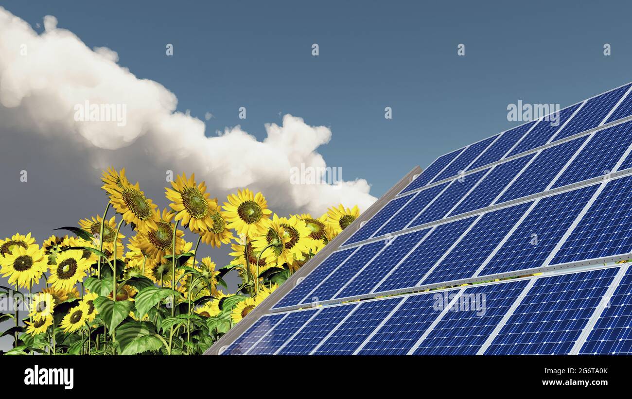 Solar panel and sunflowers Stock Photo - Alamy