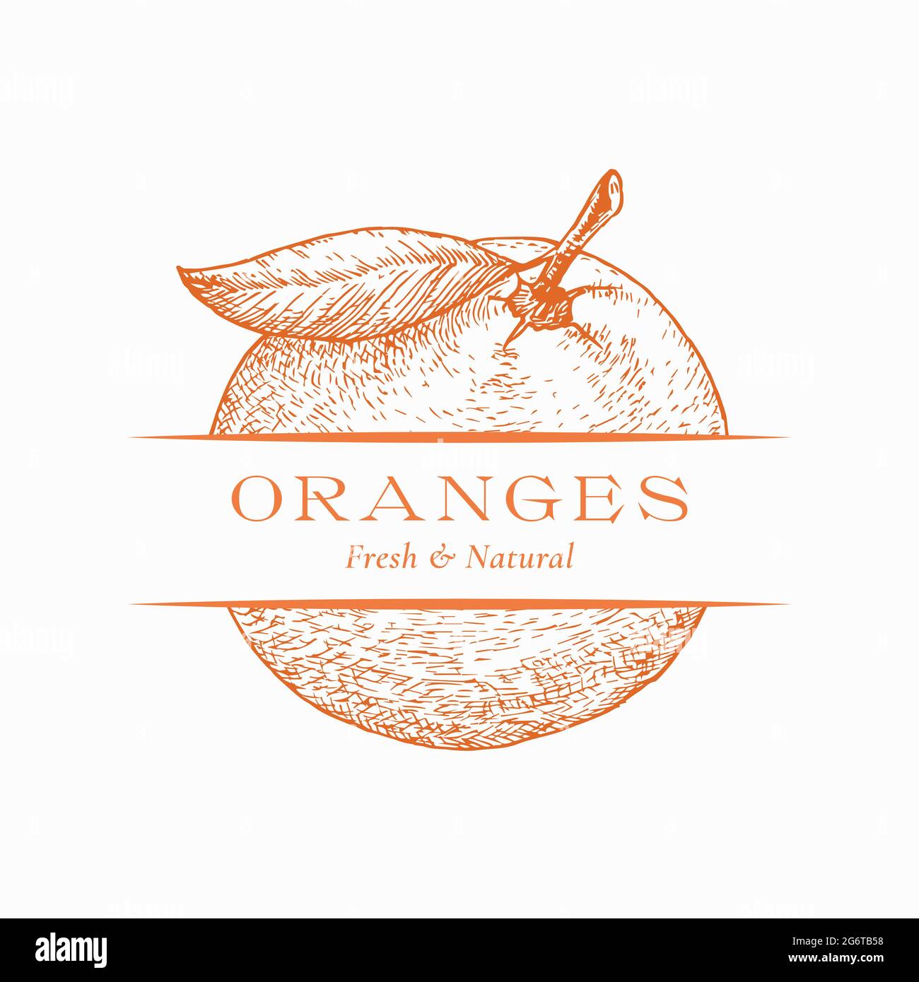 Fresh Oranges Organic Abstract Vector Sign, Symbol or Logo Template ...
