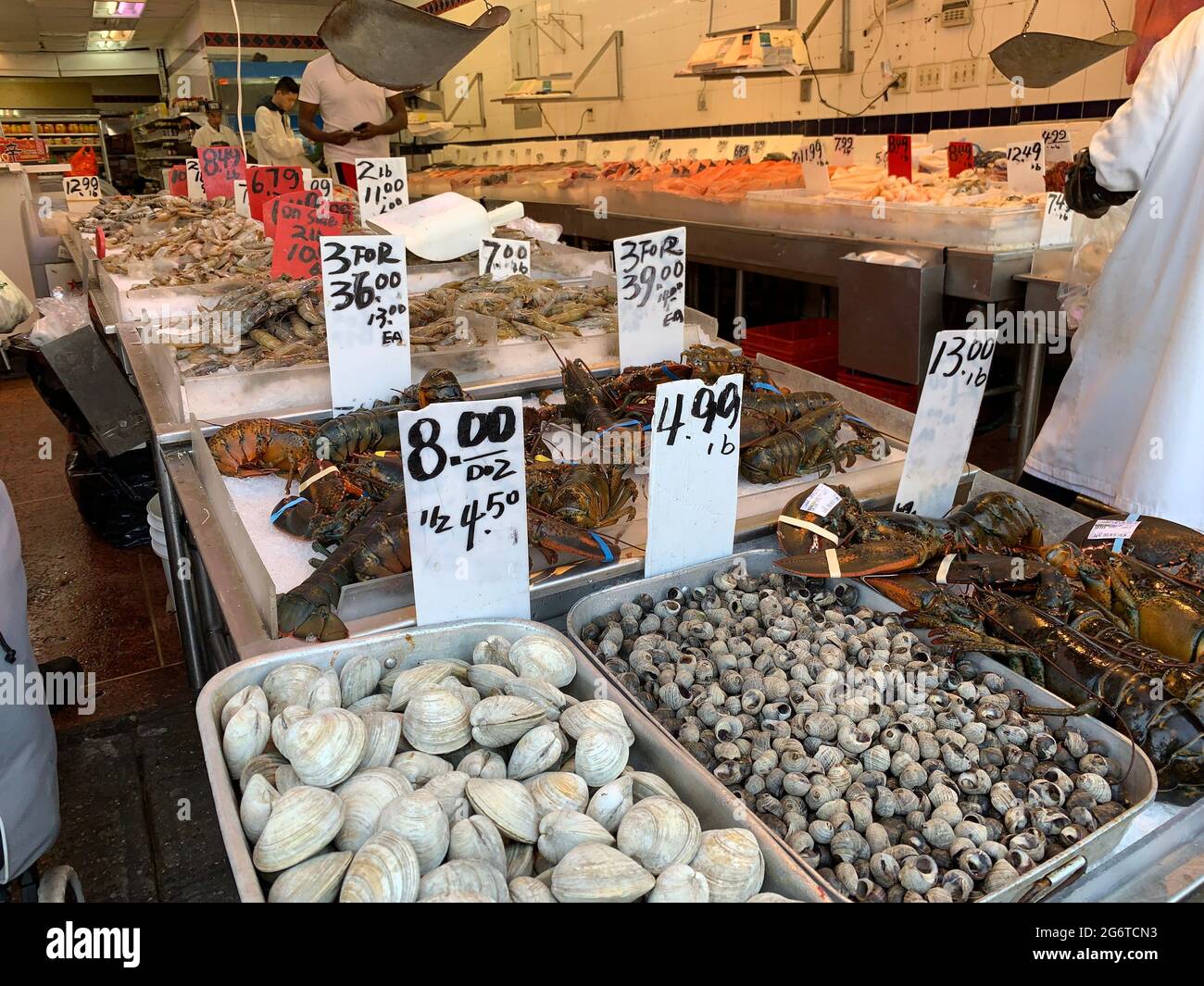 clams selling in the market at new york china town Stock Photo - Alamy
