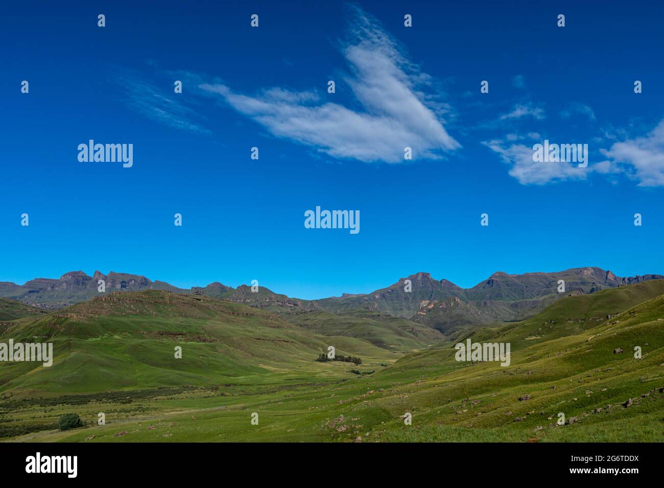 Wind spread hi-res stock photography and images - Alamy