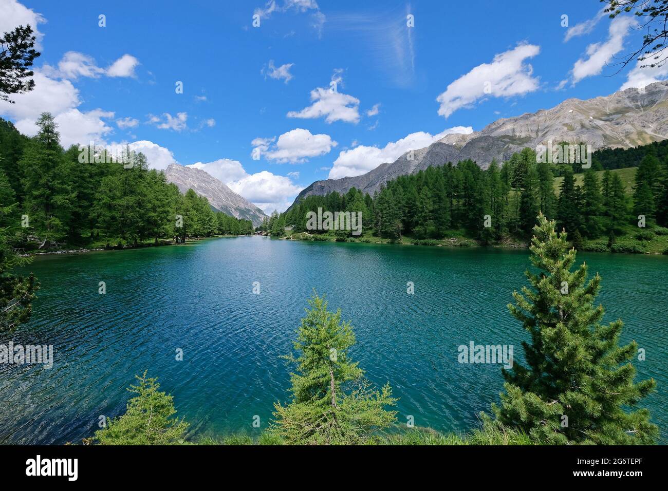 Lake Palpuogna, Lai da Palpuogna, in the Albula Alps, Canton Grisons ...