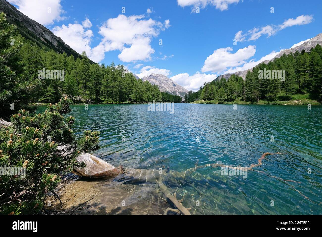 Lake Palpuogna, Lai da Palpuogna, in the Albula Alps, Canton Grisons ...