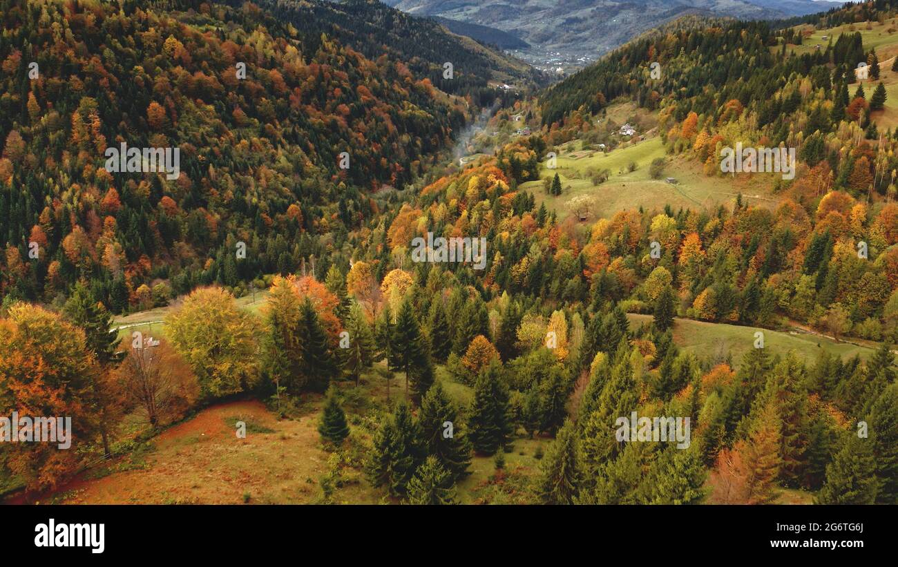 Mountain ranges with pine, leafy forest aerial. Autumn nobody nature ...