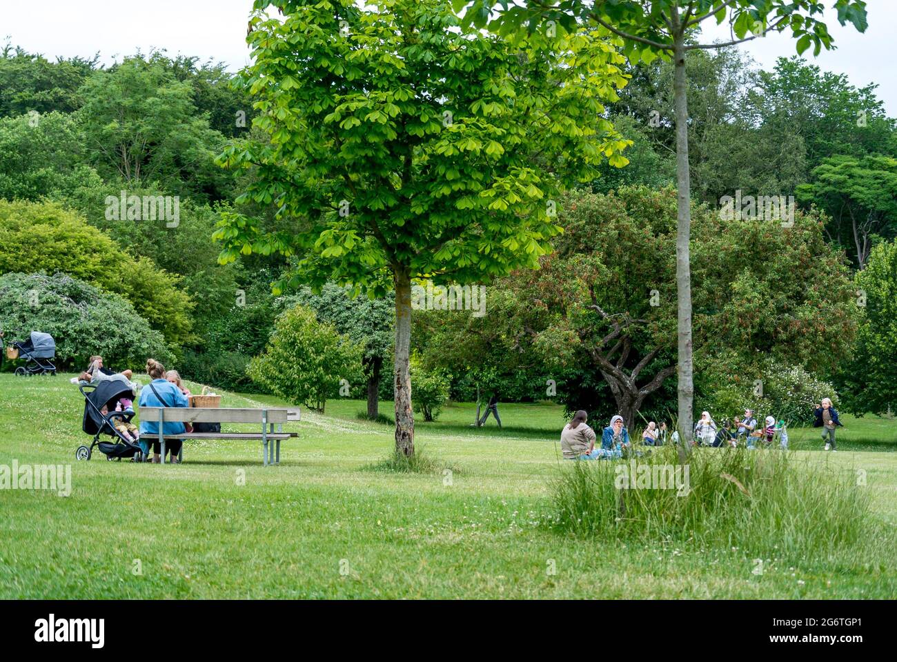 Aarhus, Denmark - 27 June 2021: People are on a picnic and walk in the ...