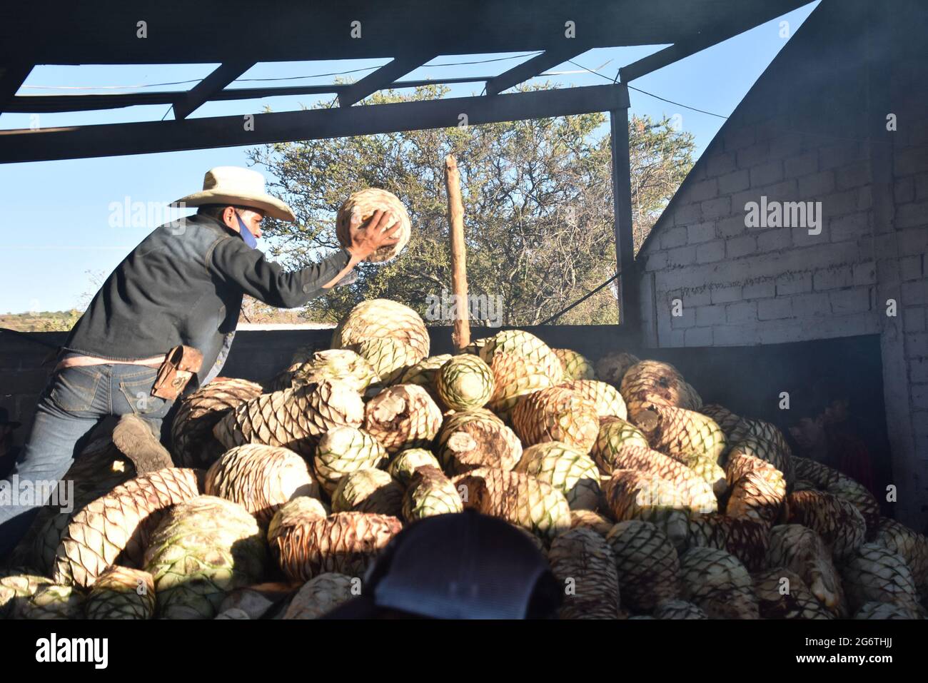 Production de mezcal hi-res stock photography and images - Alamy