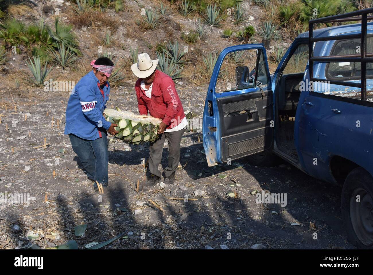 Mezcaleros hi-res stock photography and images - Alamy