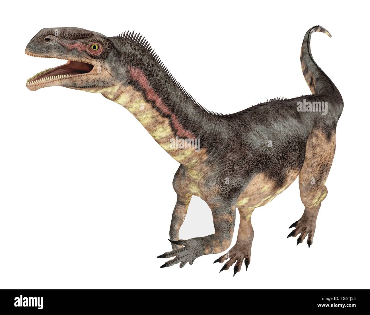 Plateosaurus hi-res stock photography and images - Alamy