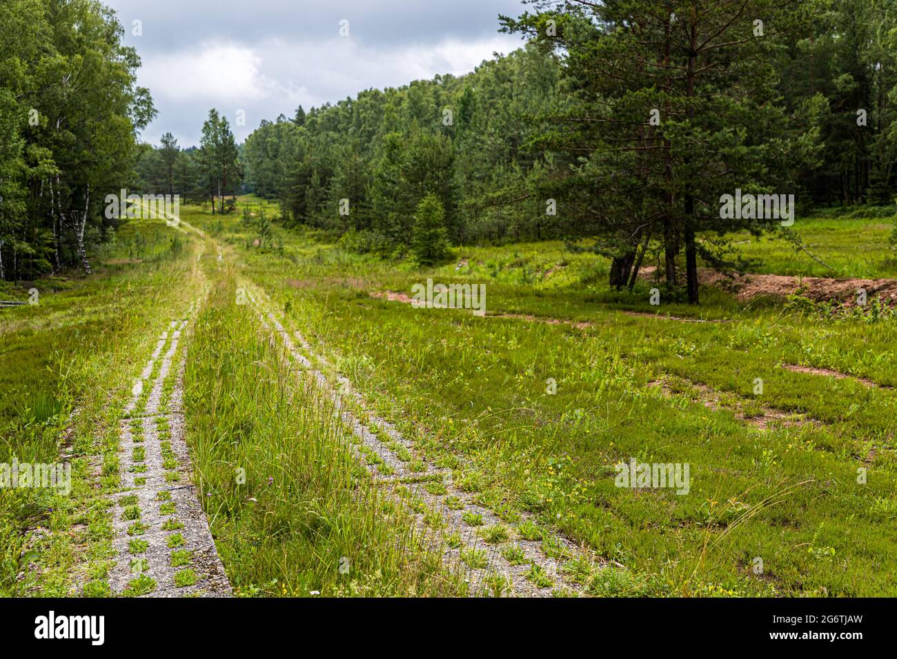 Hiking in the former inner-German border area. Over the Kolonnenweg ...