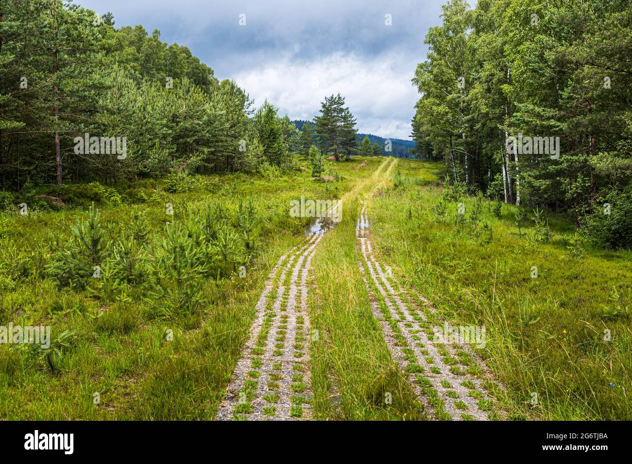 Hiking in the former inner-German border area. Over the Kolonnenweg ...