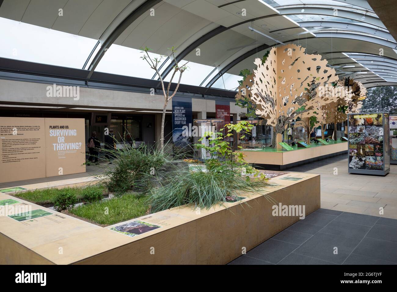 Ardingly, UK. 8 June 2021. Interior of The Millennium Seed Bank at ...