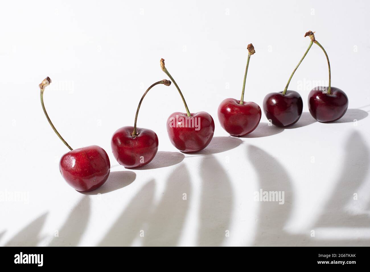A row of ripe sweet cherries on a white background with a beautiful ...