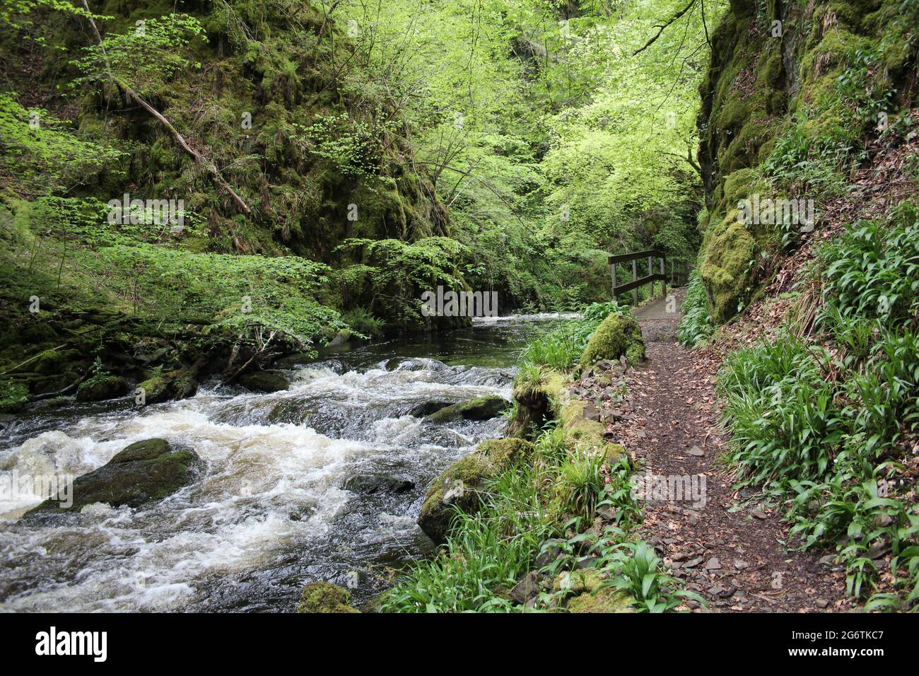 South loch ness hiking trail hi-res stock photography and images - Alamy