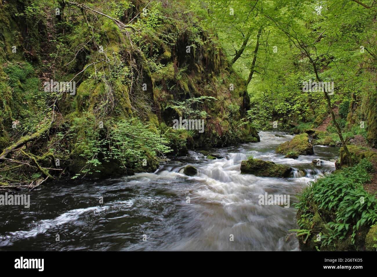 Ness Glen - Loch Doon - South West Scotland - June 2021 Stock Photo - Alamy