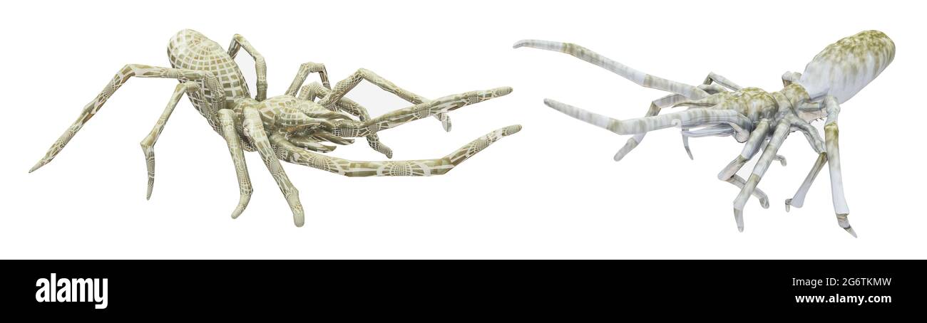 Two futuristic spiders isolated on white background Stock Photo - Alamy