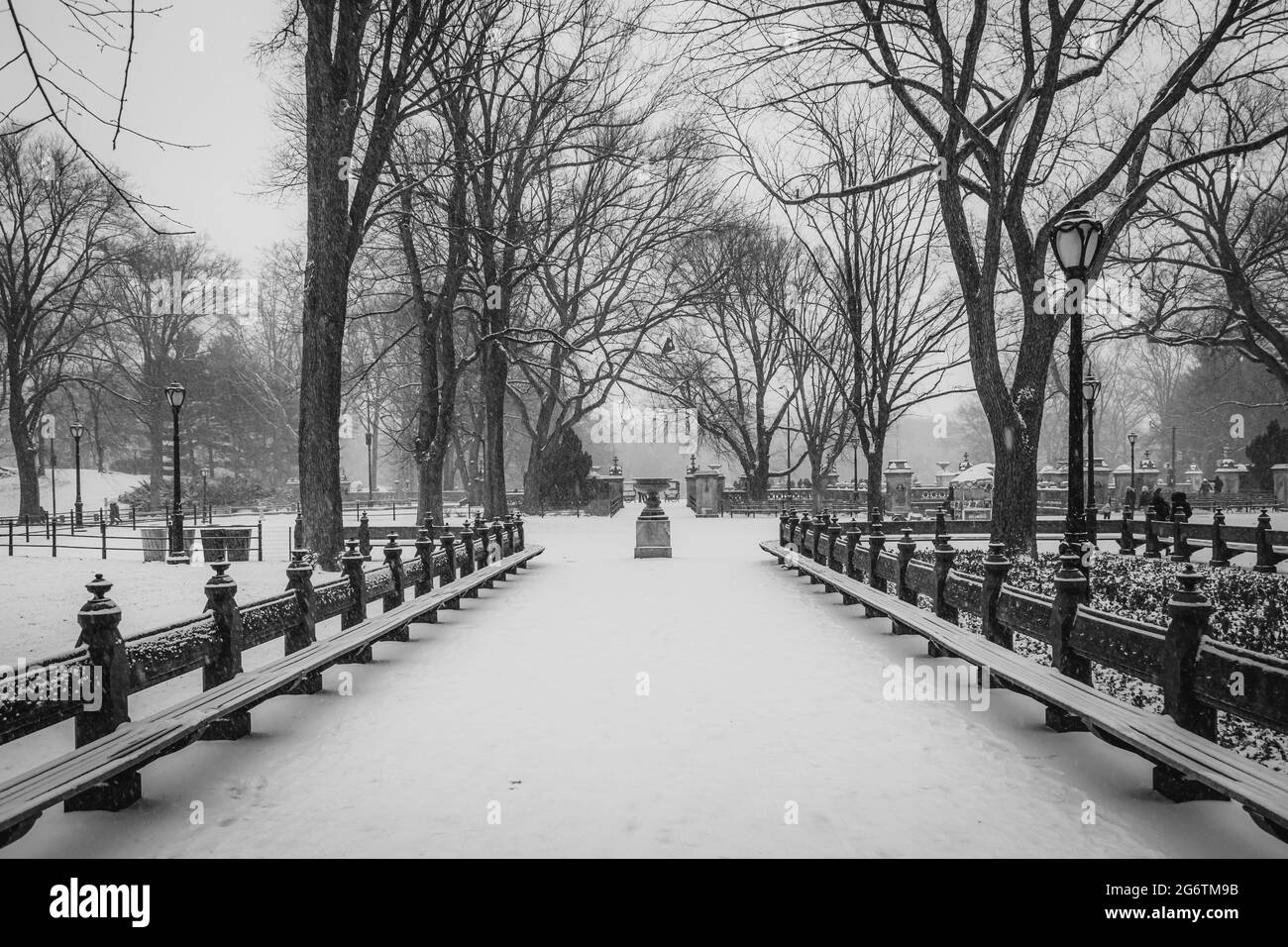 Snowy walkway in Central Park, Manhattan, New York City Stock Photo - Alamy