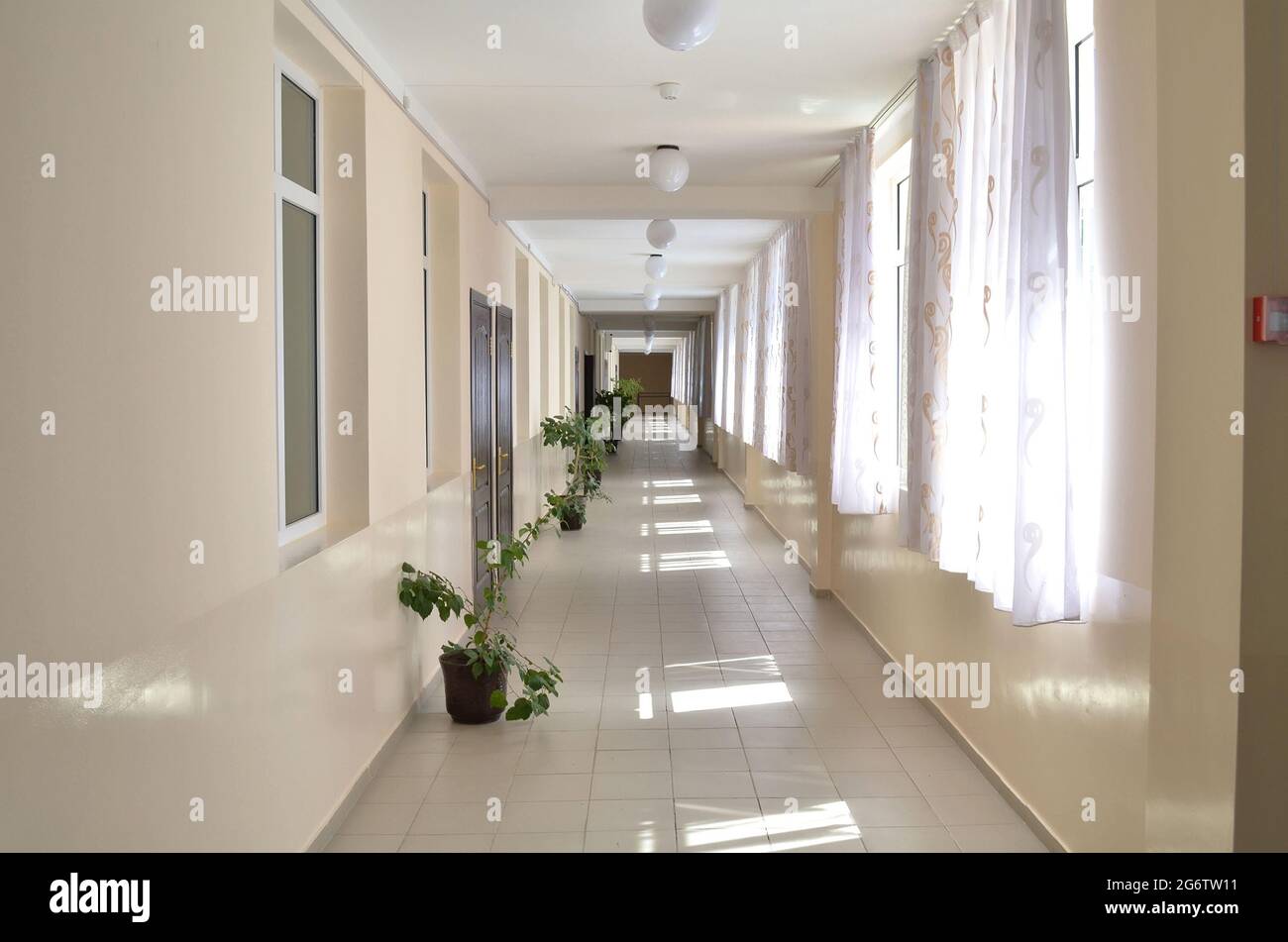 Bright corridor with large windows and closed wooden doors, with green ...