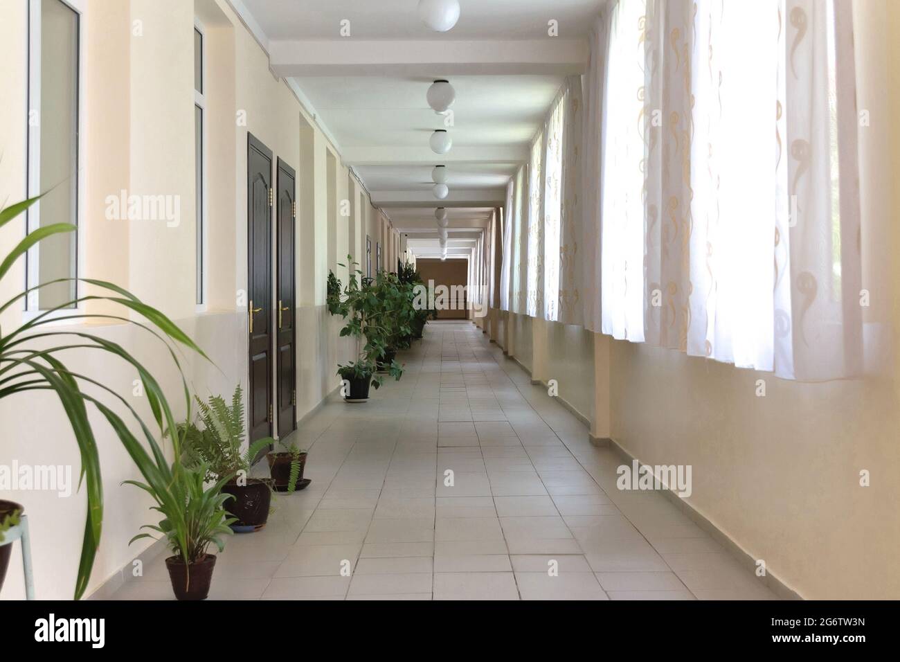 Bright corridor with large windows and closed wooden doors, with green ...